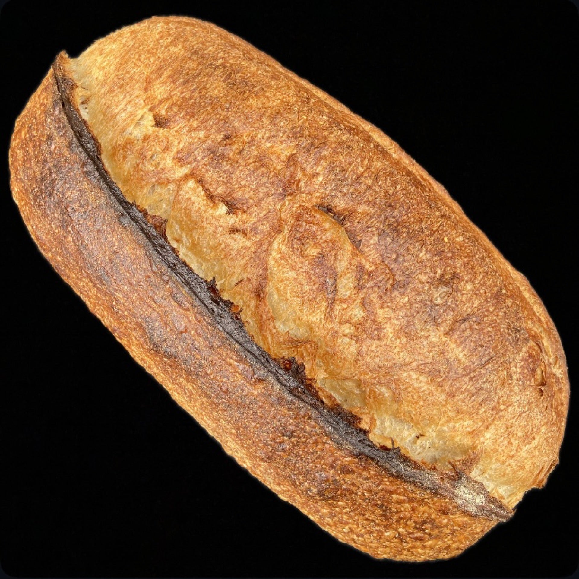 Large Plain Sourdough | Prove Patisserie Pty Ltd
